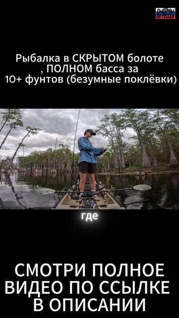 Рыбалка в СКРЫТОМ болоте, ПОЛНОМ басса за 10+ фунтов (безумные поклёвки) ЧАСТЬ 9/11