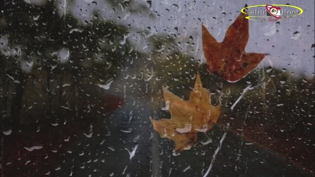 🎸🥀🎵 Как хочется уйти туда, где дождь...💞💫  /любовь/жизнь/распятая любовь 🍁