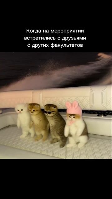 Друзьям с других факультетов посвящается
