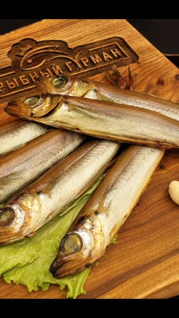 Пластмассовый психолог Домосёр