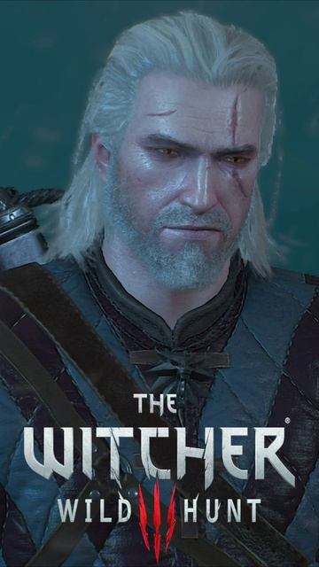 «Ты прижмёшь, я заберу своё!» Бизнес по-новиградски  The Witcher 3 - Wild Hunt