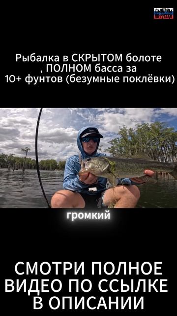 Рыбалка в СКРЫТОМ болоте, ПОЛНОМ басса за 10+ фунтов (безумные поклёвки) ЧАСТЬ 7/11