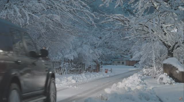 RYUCAMP Поход в снежный кемпинг с моей собакой . Отдых в надувной палатке с подогревом .