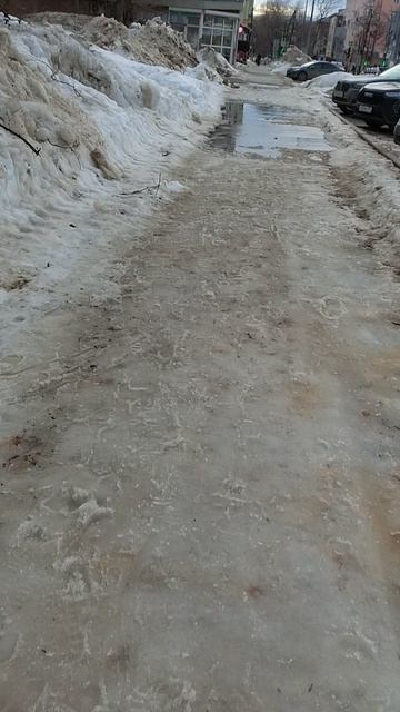 №1897 ул. Полины Осипенко. 25 марта 2026 г., 17:56:41 VID_20260325_175449831