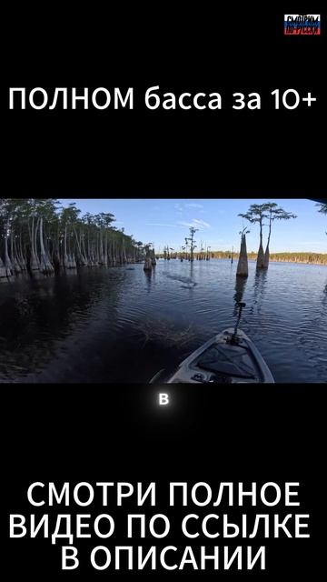 Рыбалка в СКРЫТОМ болоте, ПОЛНОМ басса за 10+ фунтов (безумные поклёвки) ЧАСТЬ 2/11