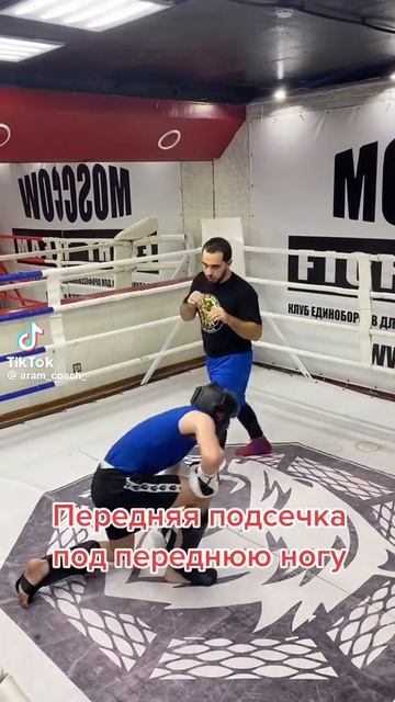 Передняя подсечка под переднюю ногу