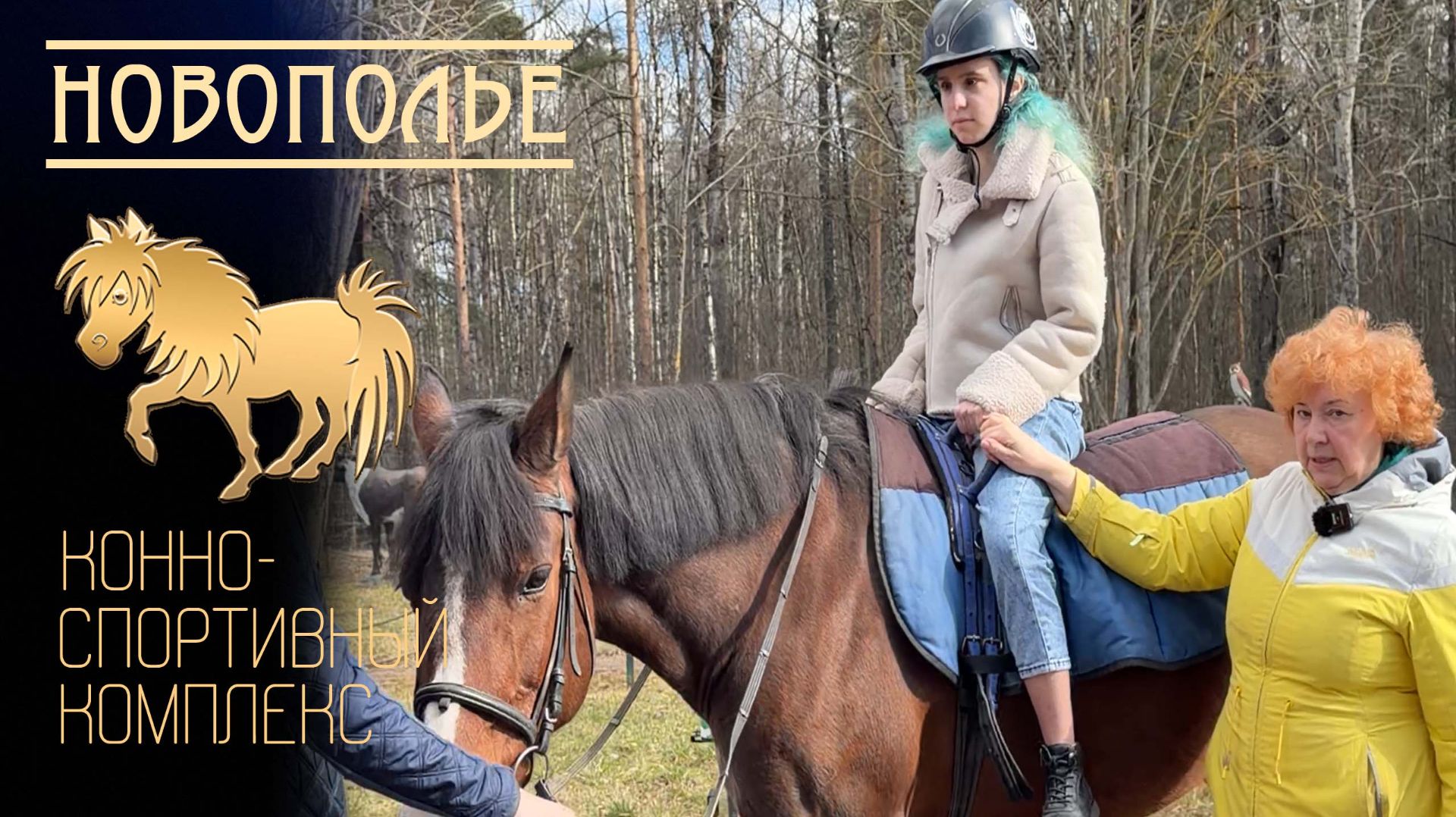 Иппотерапия в КСК «Новополье» — как технологии верховой езды меняют реабилитацию