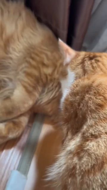 Вот это трюк!