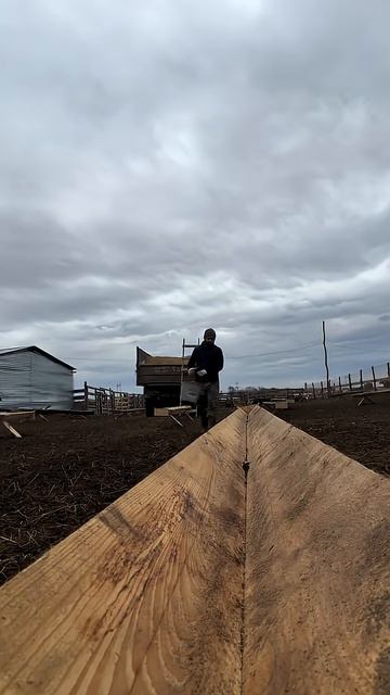 Учиться не заставляйте, а дайте работать целый день