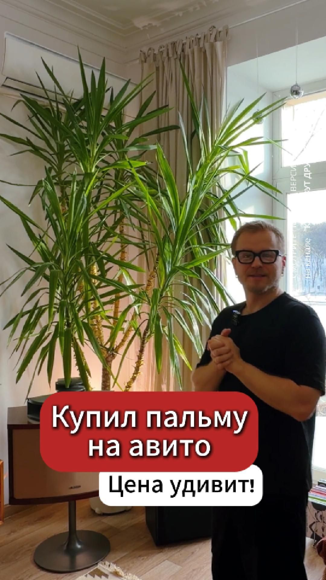 Огромные растения за копейки - лайфхак🪴