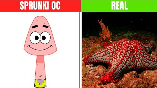 НОВЫЙ СПРУНКИ ПАТРИК СТАР ⭐ ИЗ МУЛЬТИКА СПАНЧ БОБ 🧽!!! SPRUNKI ПАТРИК В РЕАЛЬНОЙ ЖИЗНИ! 😼😺🙀