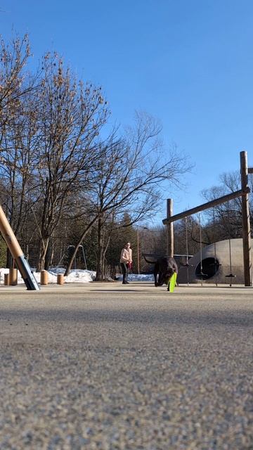 Спортивный Метис Нэтта - роллы