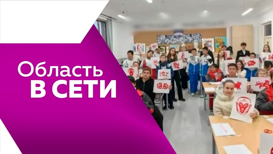 Область в сети № 340