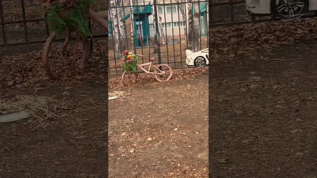 Даша  дашик