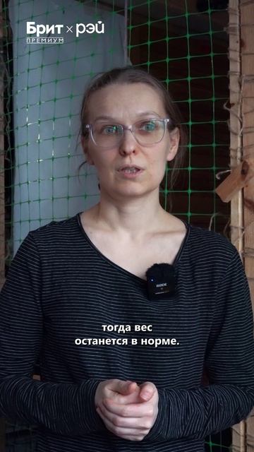 Правда ли, что стерилизация кошек вызывает рак?