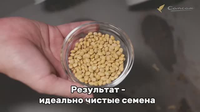 Очистка сои на семенной линии Сапсан