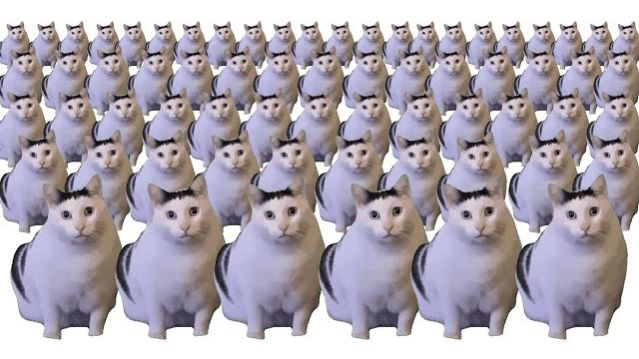 МЕМНОГО КОТА HUH 🐈 СТАНОВИТСЯ ВСЕ БОЛЬШЕ И БОЛЬШЕ!!! ДЕСЯТЬ МИЛЛИОНОВ КОТОВ HUH В ОДНОМ ВИДЕО! 🙀