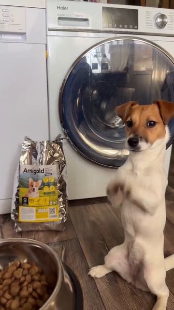 Завтрак с Милой от #AmiGold