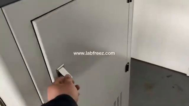 Пилотная вакуумная лиофильная сушилка Labfreez FD-10F TPE