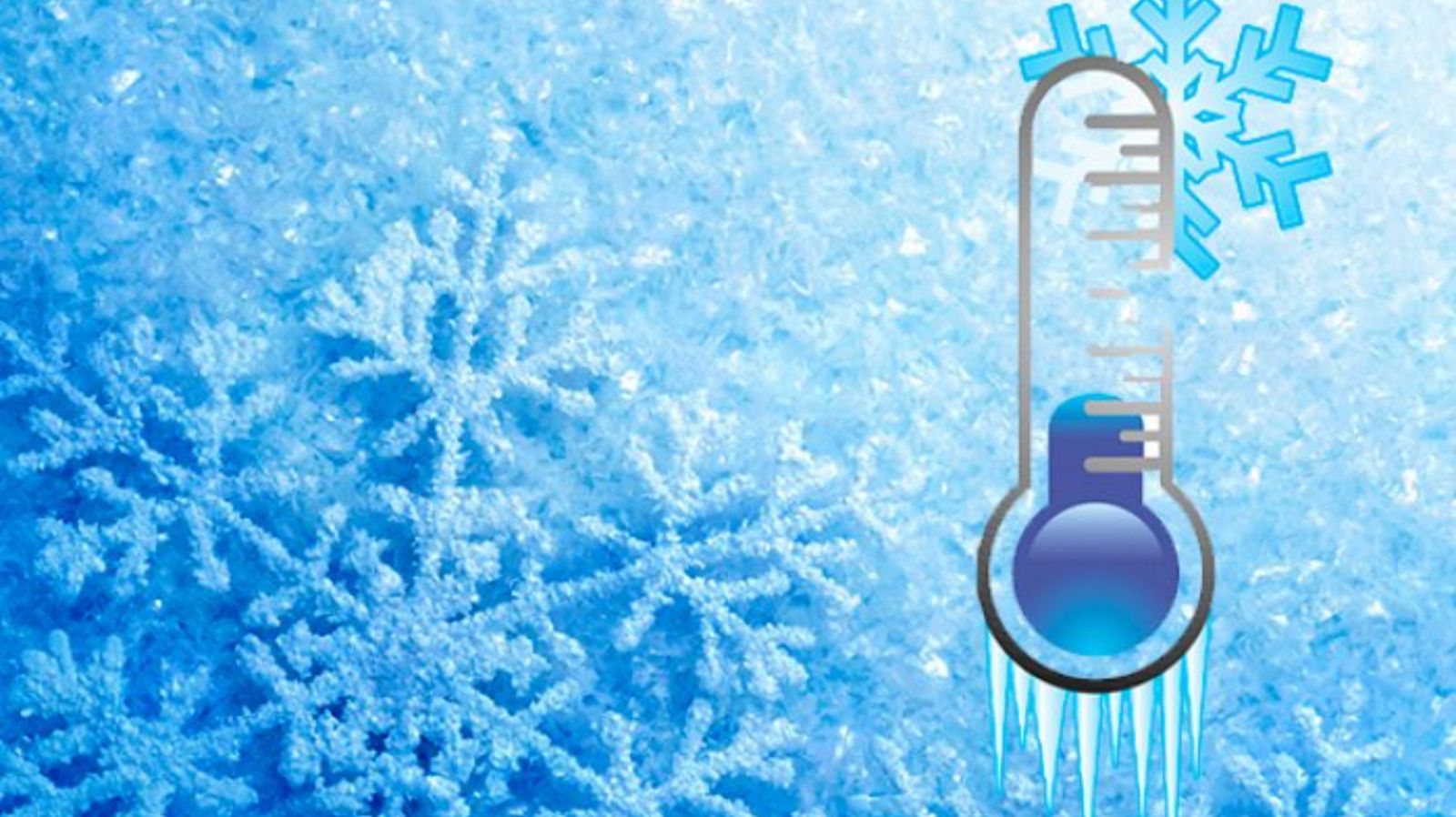 Холод 2 ( Разбор И Реакция)