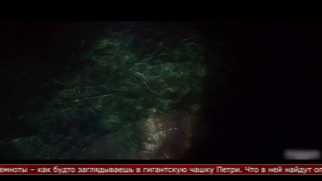 30.03.2026 Сахалинские блоги. Поймал осьминога  Готовлю Морепродукты  Рыбалка без удочки в море  Сах