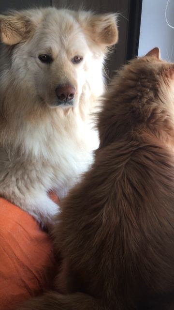 Ричик и Альфушка ❤️❤️❤️❓