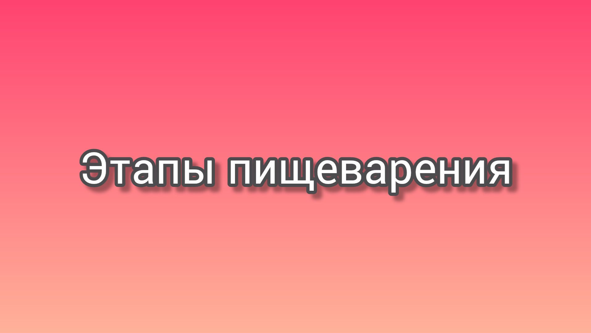 Пищеварение