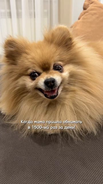 Как выбесить Басеньку?
