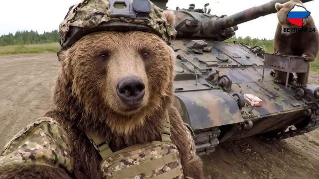 Михалыч, Потапыч, Игорёха - в новостях.№ 14