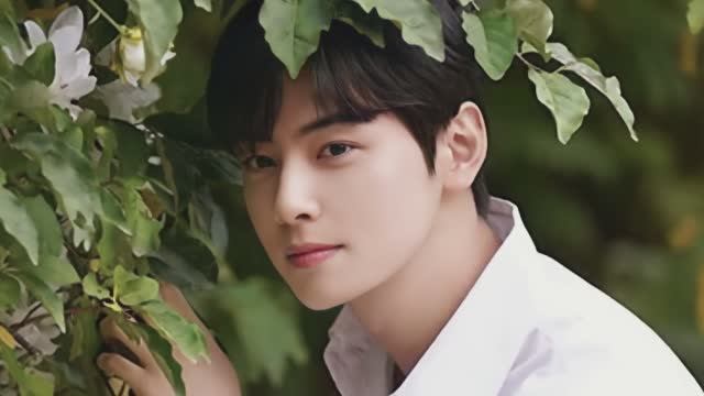 Чха Ын у — путь через боль и сияние славы_1080p60