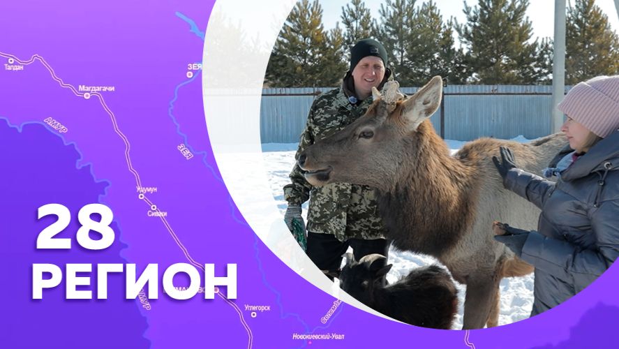 Регион 28 Грибское -№10