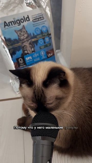 #Amigold -  почему так быстро съели корм? Он вкусный и полезный! Видео от наших дорогих покупателей
