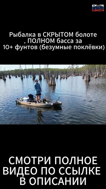 Рыбалка в СКРЫТОМ болоте, ПОЛНОМ басса за 10+ фунтов (безумные поклёвки) ЧАСТЬ 10/11