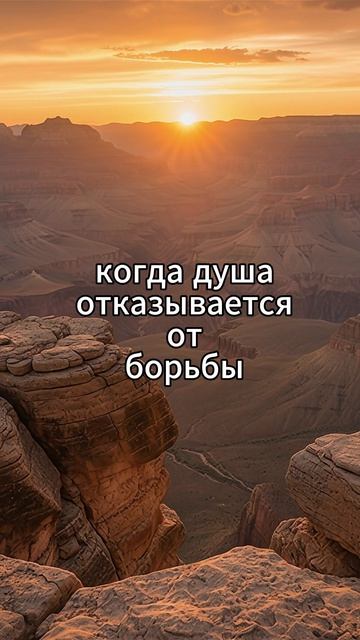 Не сдавайся. Мирра Альфасса