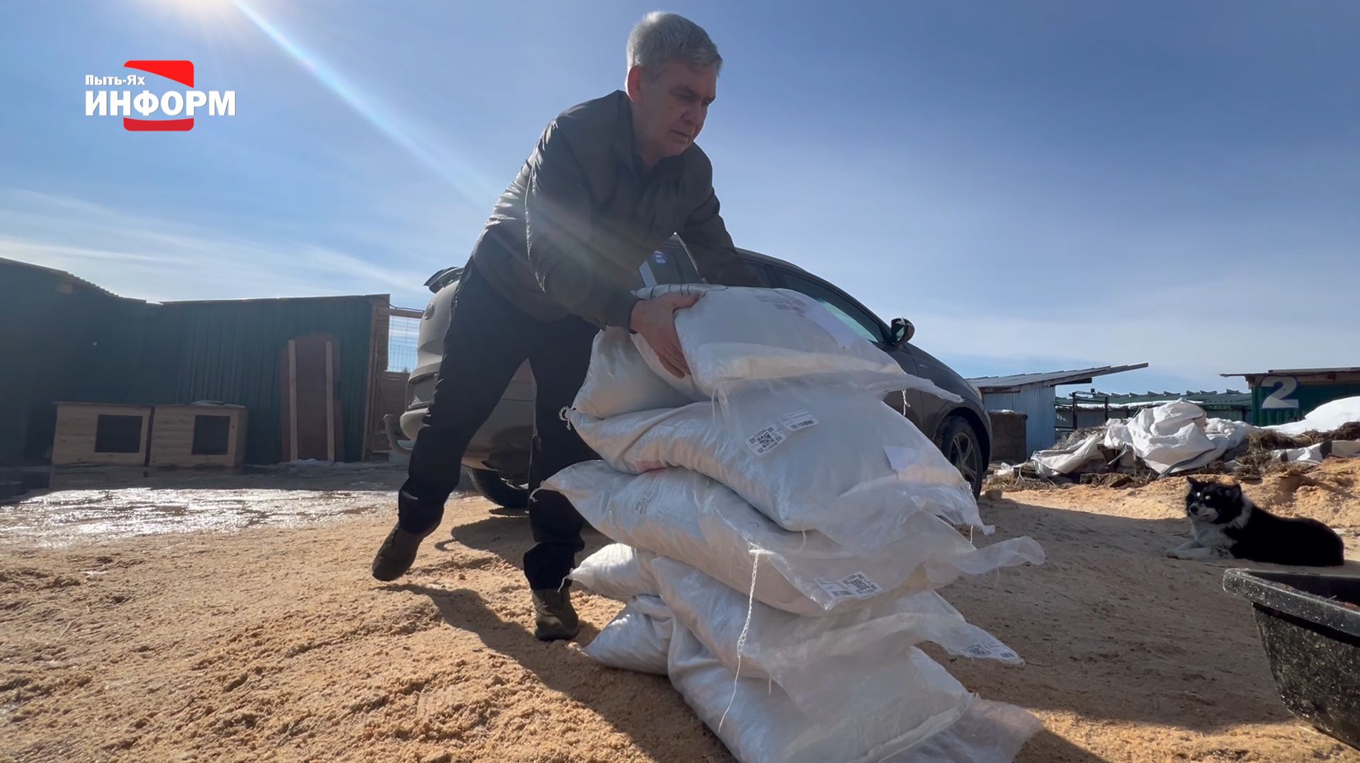 Помощь временному муниципальному приюту для бездомных собак