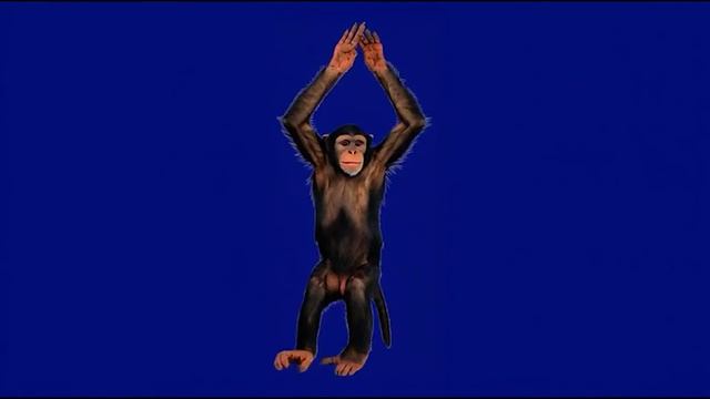 Обезьянка о 28_encoded