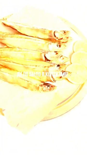 Коптильная камера горячего и холодного копчения