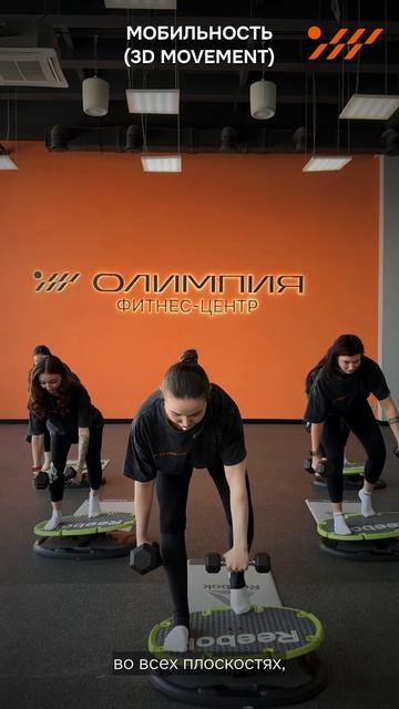 3Д увмент (мобильность)