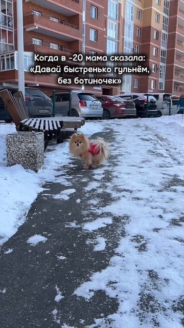 Без ботиночек прогулки очень короткие!