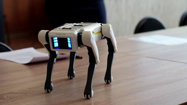 2026.03.25. Донецкий политехник о молодёжных лабораториях и развлечениях