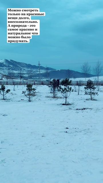 #marymals #марималс #малс #малсволгоград #мироваямодель #миссмосква #шо #лазарев #самойлова #бузова