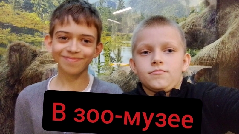 в зоо-музее