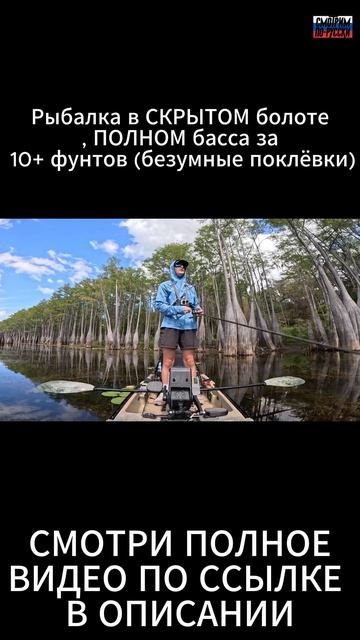 Рыбалка в СКРЫТОМ болоте, ПОЛНОМ басса за 10+ фунтов (безумные поклёвки) ЧАСТЬ 6/11