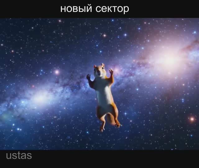 Новый Сектор "Белка "