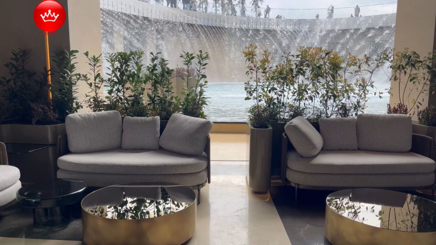 🥂Лаундж-бар в парке Облаков парк Галицкого и цветущая слива НИГРА.