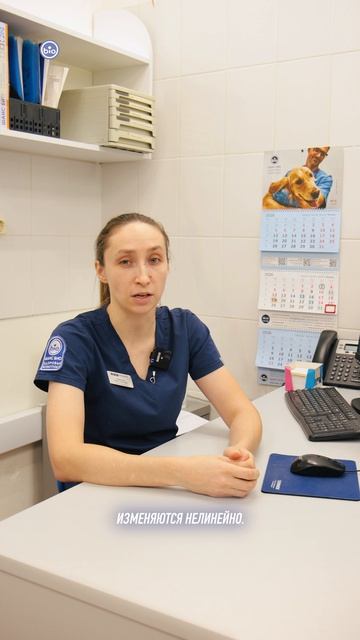 Корм для всех - миф или реальность?