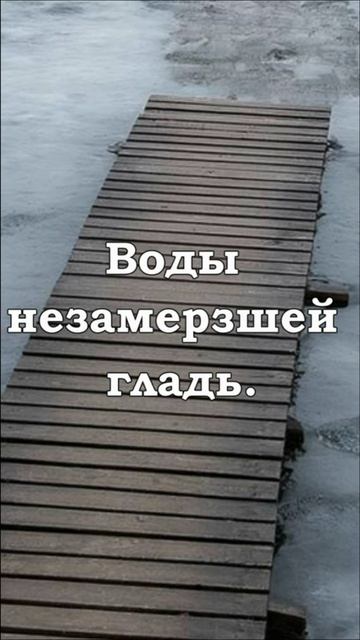 ПЕСНЬ О СОБАКЕ. С.Есенин...