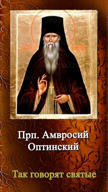 "Должно успокаивать себя тем, что..."