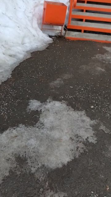 №1907 ул. Белинского. 25 марта 2026 г., 18:29:29 VID_20260325_182703943