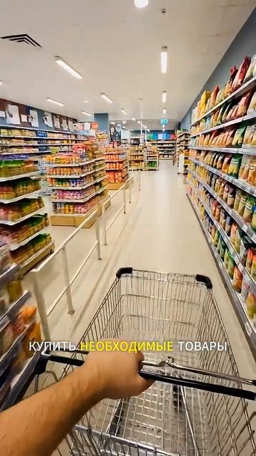 Кошачья аномалия #shorts